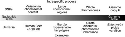Range Of Intraspecific Variation Individuals Within A Species And