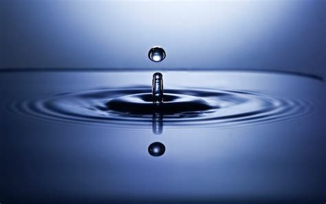 Your Signature Vibration Jason Snaddon The Abundance Activator