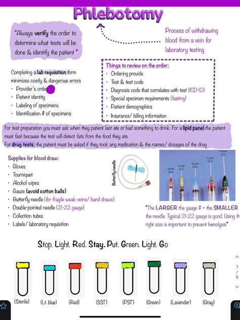Phlebotomy Basics Study Guide Etsy