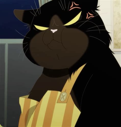 Yukichi Cat Artofit