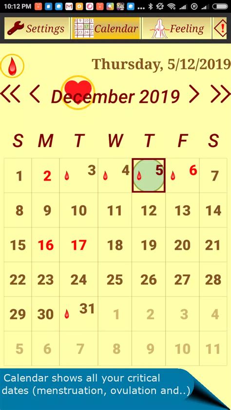 Ovulation Cycle Calendar