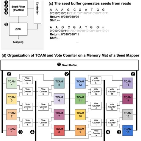 Hardware Mapping Of The Fast Seed And Vote Algorithm Using Ternary Download Scientific Diagram