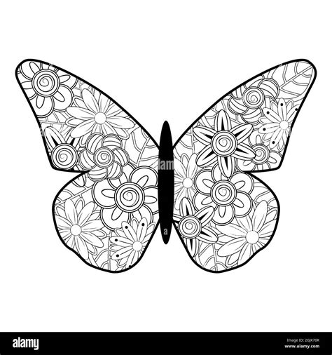 Hand Drawn Zentangle Butterfly Illustration Decorative Abstract Doodle