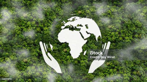 지속 가능한 환경 개발 목표를 위한 아름다운 정글 한가운데에 있는 손과 땅의 상징 Sdgs Esg Netzero 세계 환경의 날 세계 지구의 날 및 Co2 개념 낮음에 대한