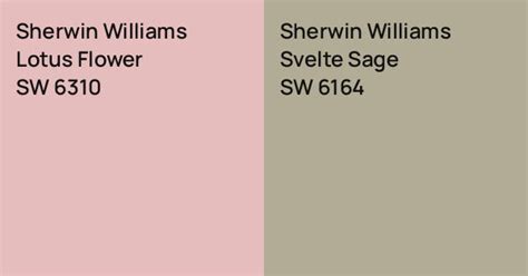 Sherwin Williams Lotus Flower Vs Sherwin Williams Svelte Sage Comparison