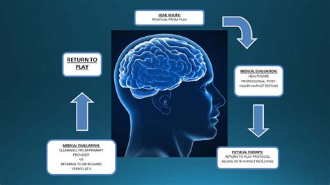 Impact Concussion Testing Schoolcraft Memorial Hospital