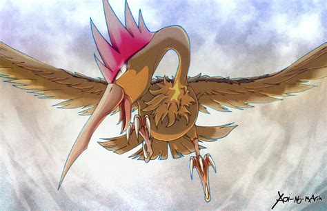 Fearow By Yaoi N0 Marik On Deviantart