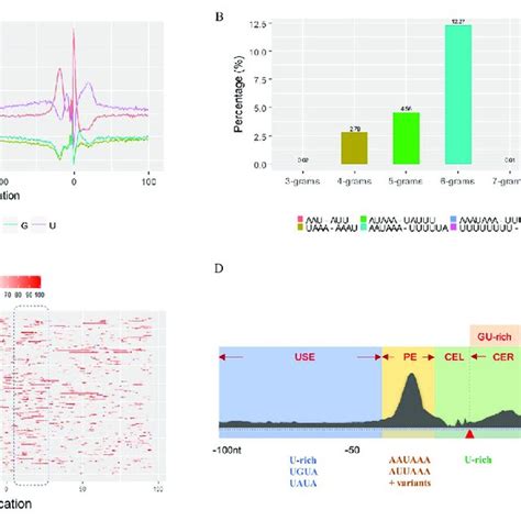 Characteristics Of Polya Signals A Nucleotide Profiles Download Scientific Diagram