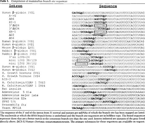 Table 1 From Mammalian U2 Snrnp Has A Sequence Specific Rna Binding Activity Semantic Scholar