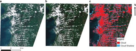 The Pre Processing Steps Visualised From The Raw Sentinel 2 Data Download Scientific Diagram