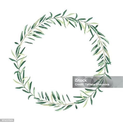 พวงหรีดมะกอกสีน้ํา แยกบนพื้นหลังสีขาว ภาพประกอบพฤกษศาสตร์ที่วาดด้วยมือ สามารถใช้สําหรับ