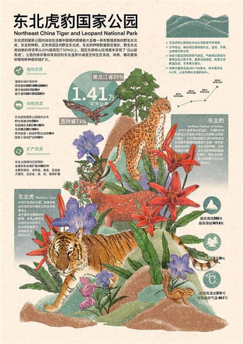 东北虎豹国家公园信息可视化阿么一 站酷zcool