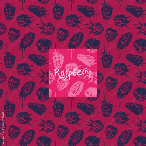 Abstract Raspberry Hand Drawn Illustrations Vector Raspberries Drawings Raspberry Banner With