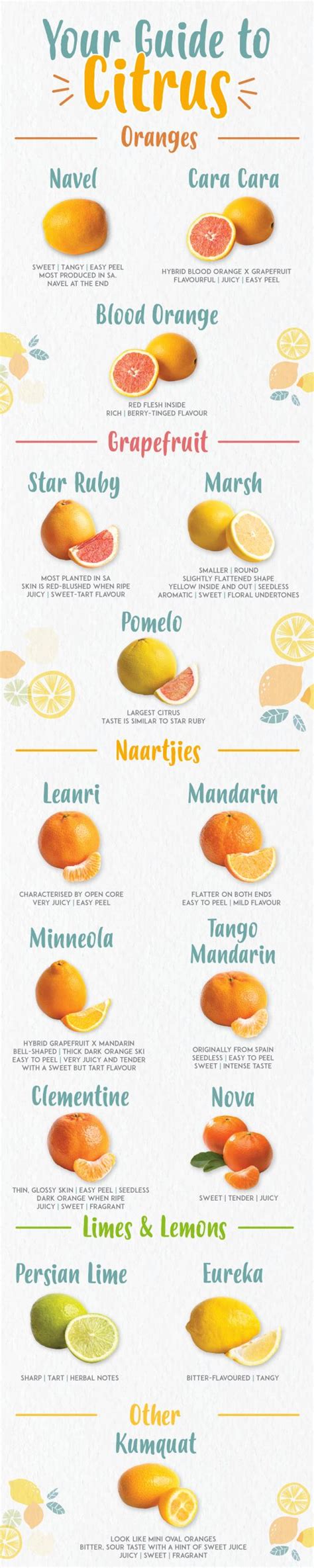Useful Infographics About Citrus Fruits