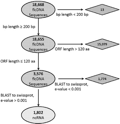 Python Pipeline Results On 18 668 Full Length Cdnas The Starting Data