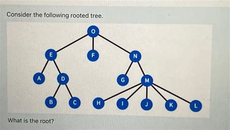 Solved Consider The Following Rooted Tree What Are The