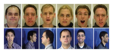 Experimental Data Set From Mmi Facial Expression Database Download