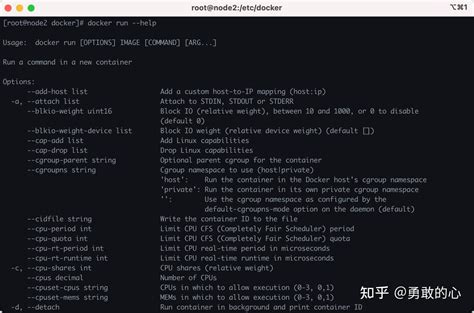 Docker从入门到精通（四）——常用命令 知乎
