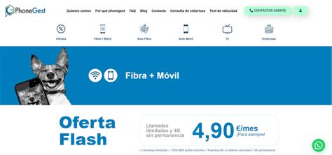Phonegest La Nueva Compañía De Telefonía Móvil Malagueña