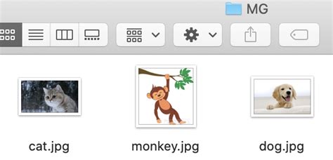Python Finding The Path Of Images Pygame Stack Overflow