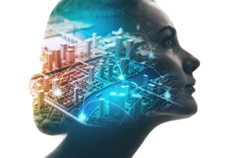 Basic And Higher Cognitive Processes Examples 2025