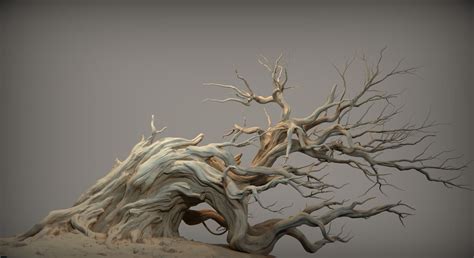 Old Tree Ningmeng