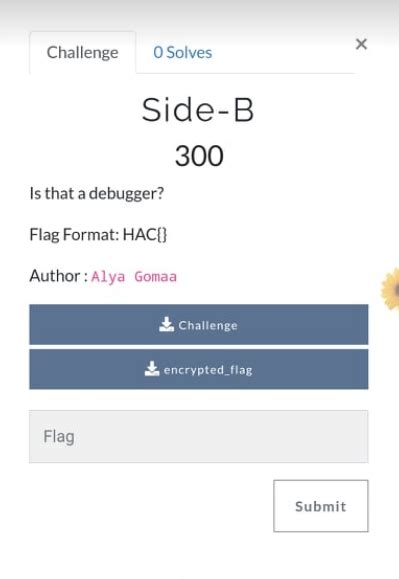 Writeup Hac Sec Ctf Reverse Engineering Coreflood