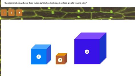 The Diagram Below Shows Three Cubes Which Has The Biggest Surface Area To Volume Ratio 123 1 2 3