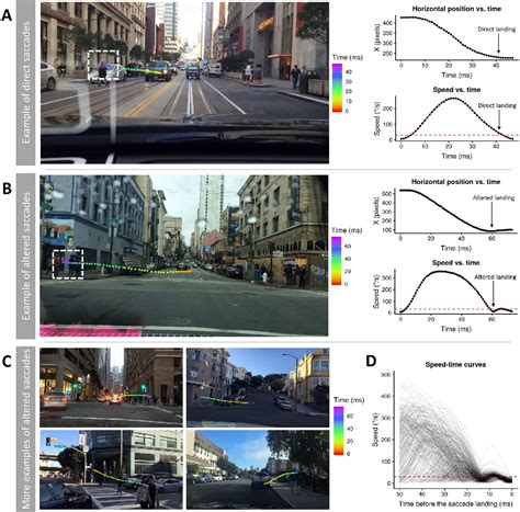 Figure 2 From Visual Crowding In Driving Semantic Scholar