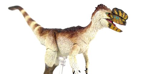 Proceratosaurus