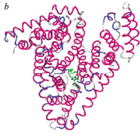 Bilirubin Ix α Binding Sites On Human Serum Albumin 4k2c A The Download Scientific Diagram