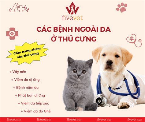 Fivevet Công ty CP thuốc thú y Trung Ương Home
