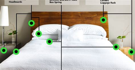 Bed Bug Treatment Checklist Chartdevelopment