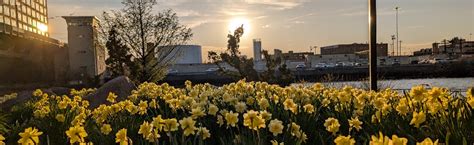 The Duckdb And Arrow Rabbit Hole Data Modeling Adventures Nickbdev