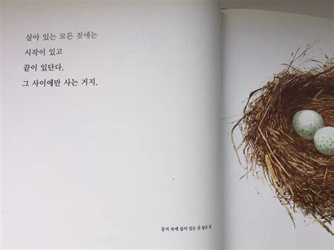 15화 책방일기 살아 있는 모든 것은 다 그렇단다