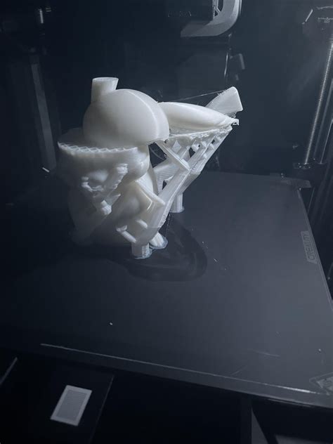 Huge Layer Shift R3dprinting