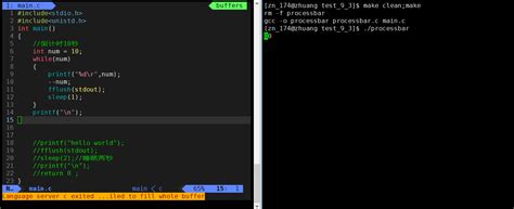 【linux】简单的小程序：进度条