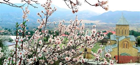 მცხეთის მუნიციპალიტეტის მერია