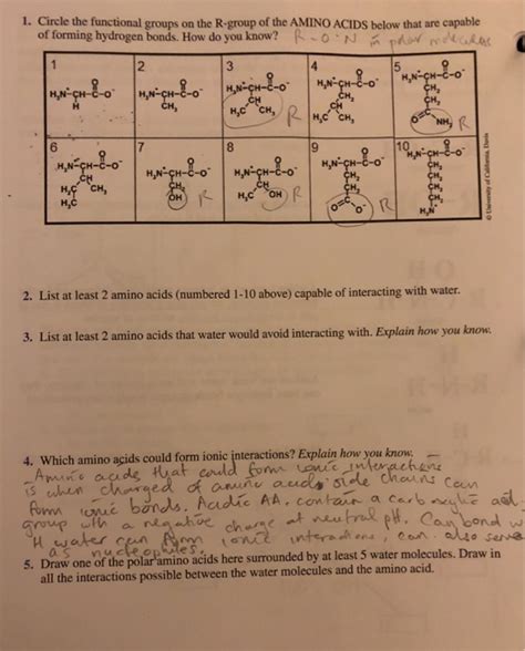 Solved 1 Cirele The Functional Groups On The R Group Of The