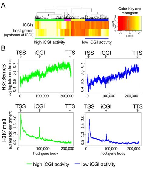 A Rna Seq Heatmap From E145 Mouse Brain Illustrating The