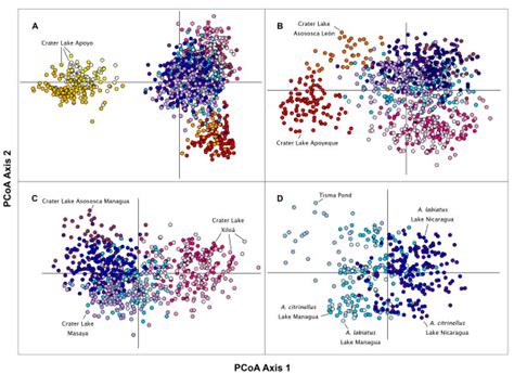 Plot Of The Two First Axes Of The Principal Coordinate Analyses Pcoa