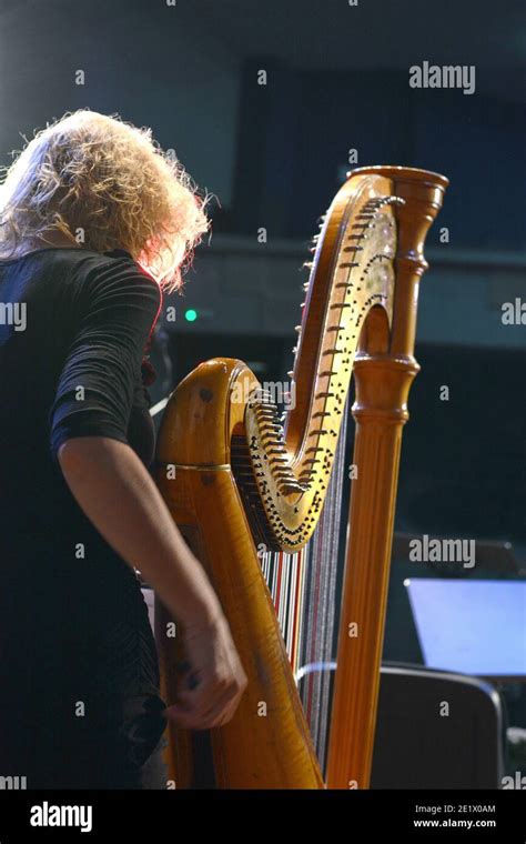 The Musician Tweaks The Harp Harp Player Classical Musician Harpist