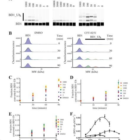 A Protac Mediated Ternary Complex Formation And Hook Effect As A