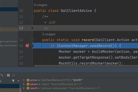 Arex Agent 插件开发指南 Arex