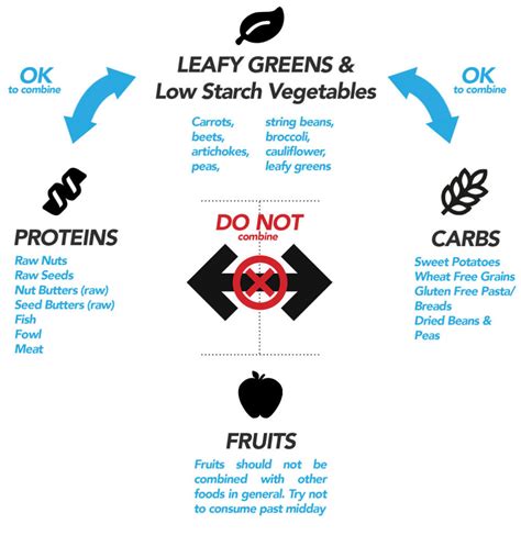 Intro Phase 3 Ddpy Program Guide
