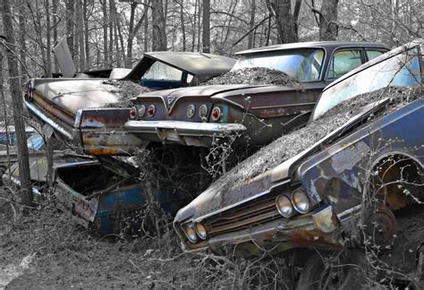 Pile Of Impalas Etsy Canvas Prints Full Color Printing Color