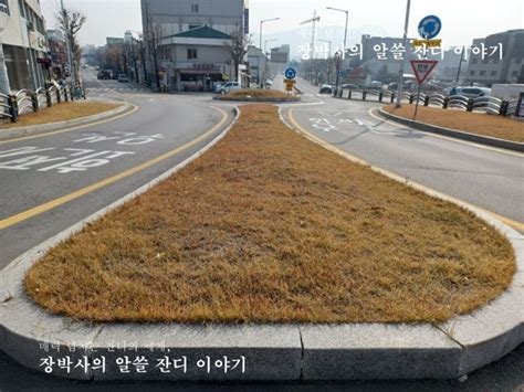 휴면 잔디와 죽은 잔디의 차이는 네이버 블로그