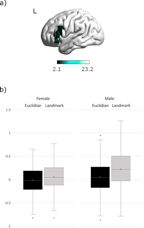 Interaction Between Sex And Strategy In The Left Inferior Frontal