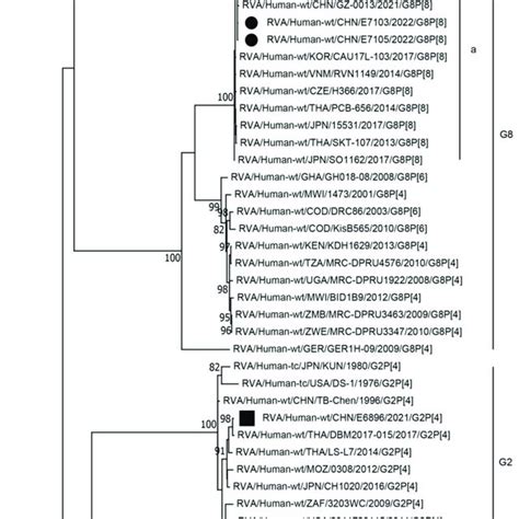Phylogenetic Dendrogram Based On Complete Coding Regions Of The Vp7 Download Scientific Diagram