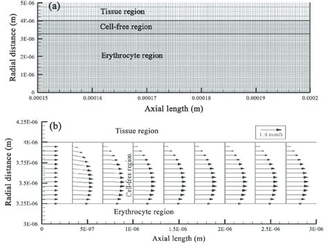 Computational Implementation And Spatially Resolved Velocity Results